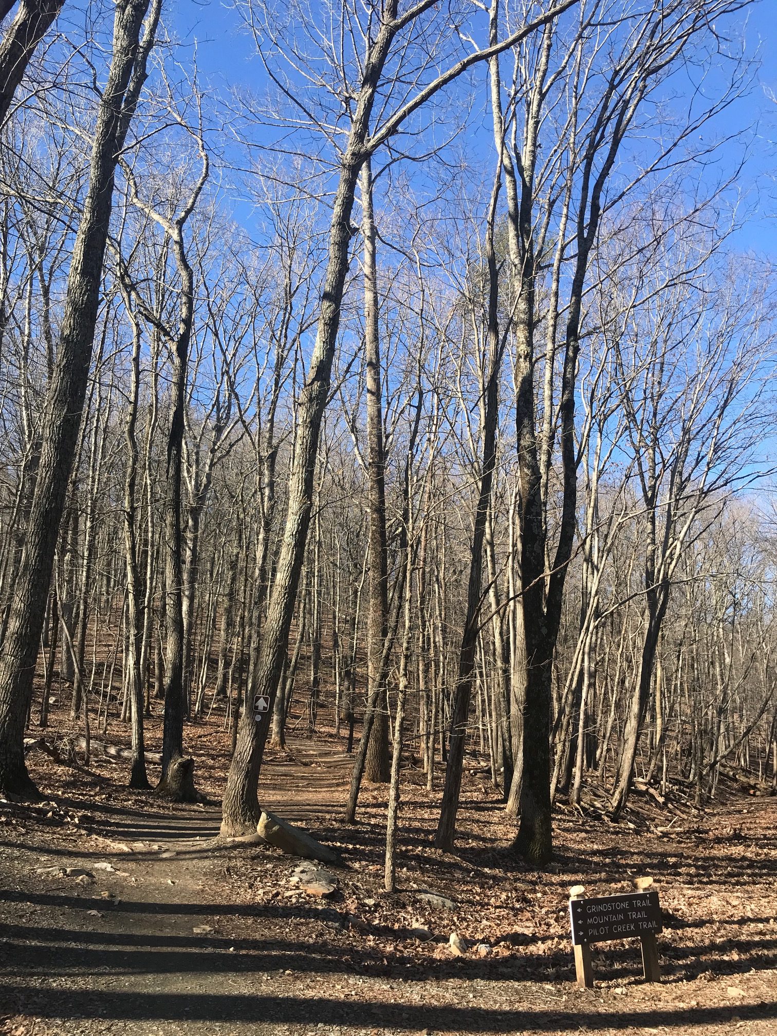 We really hope you give this trail a go and enjoy it as much as we do.