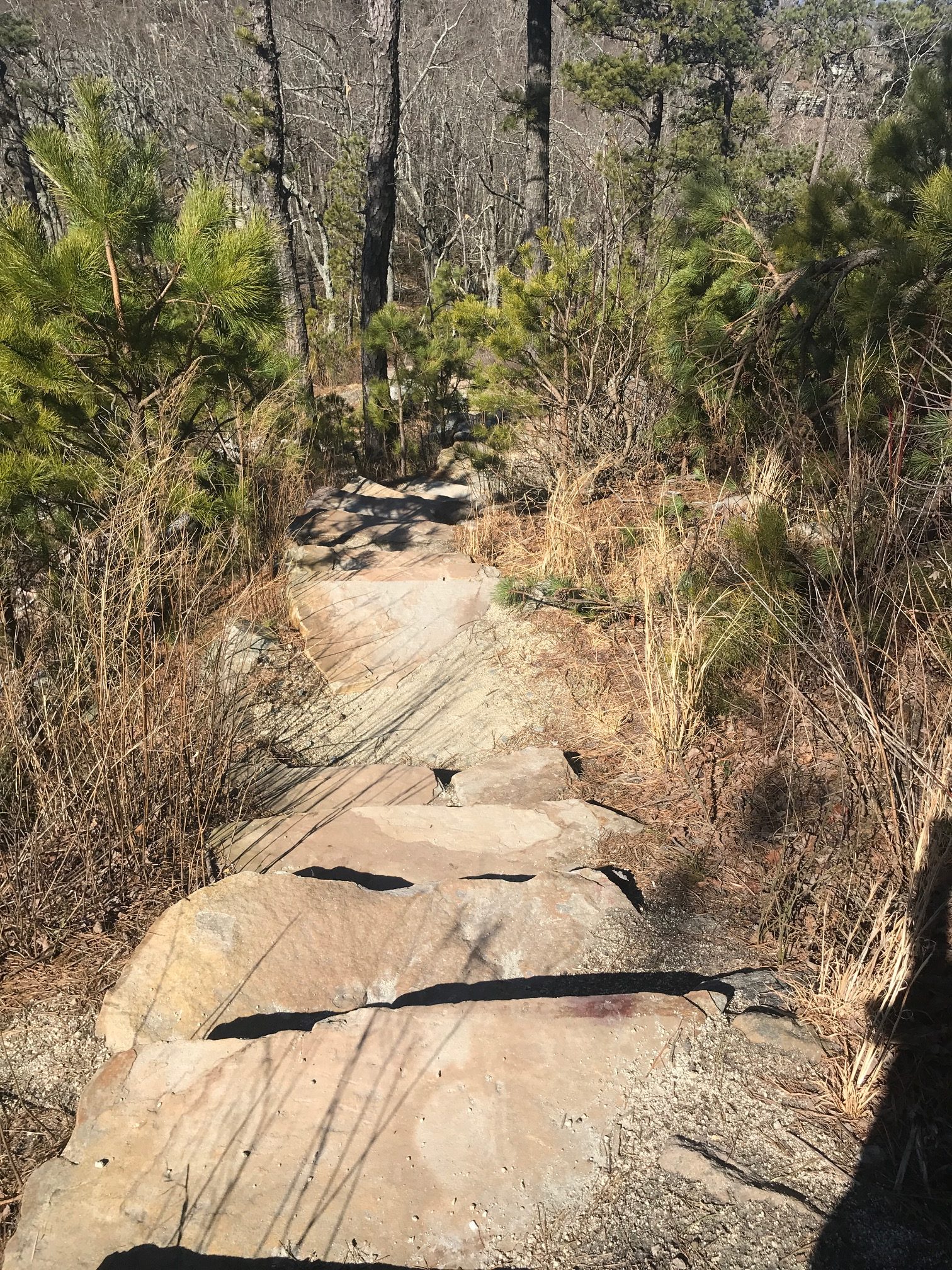We really hope you give this trail a go and enjoy it as much as we do.